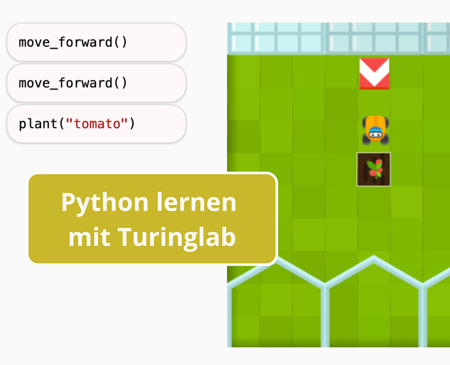 Programmieren mit Python im Unterricht - appcamps.de